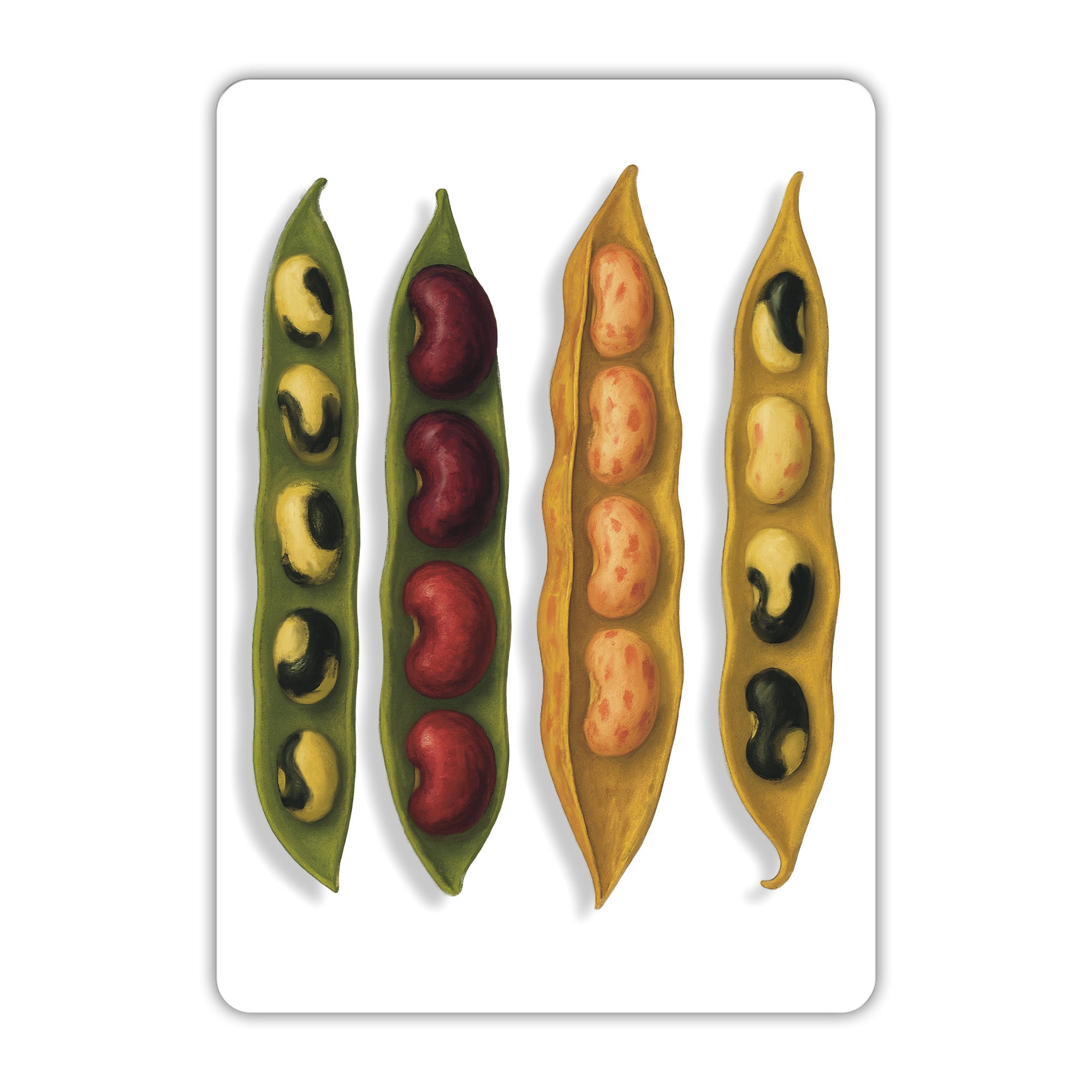 Colorful Beans Acrylic Poster – The Artist Cave